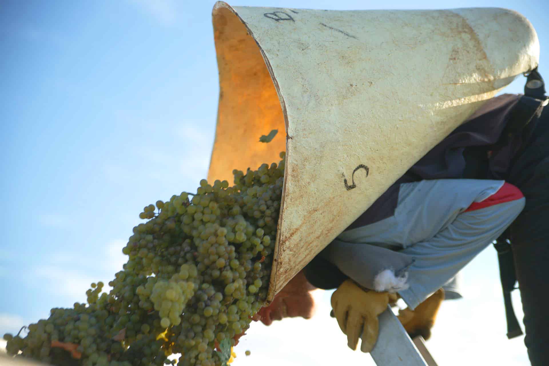 Galerie | Domaine Barolet-Pernot