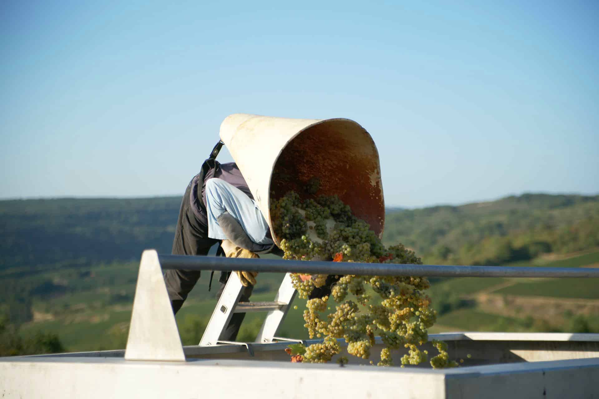 Galerie | Domaine Barolet-Pernot